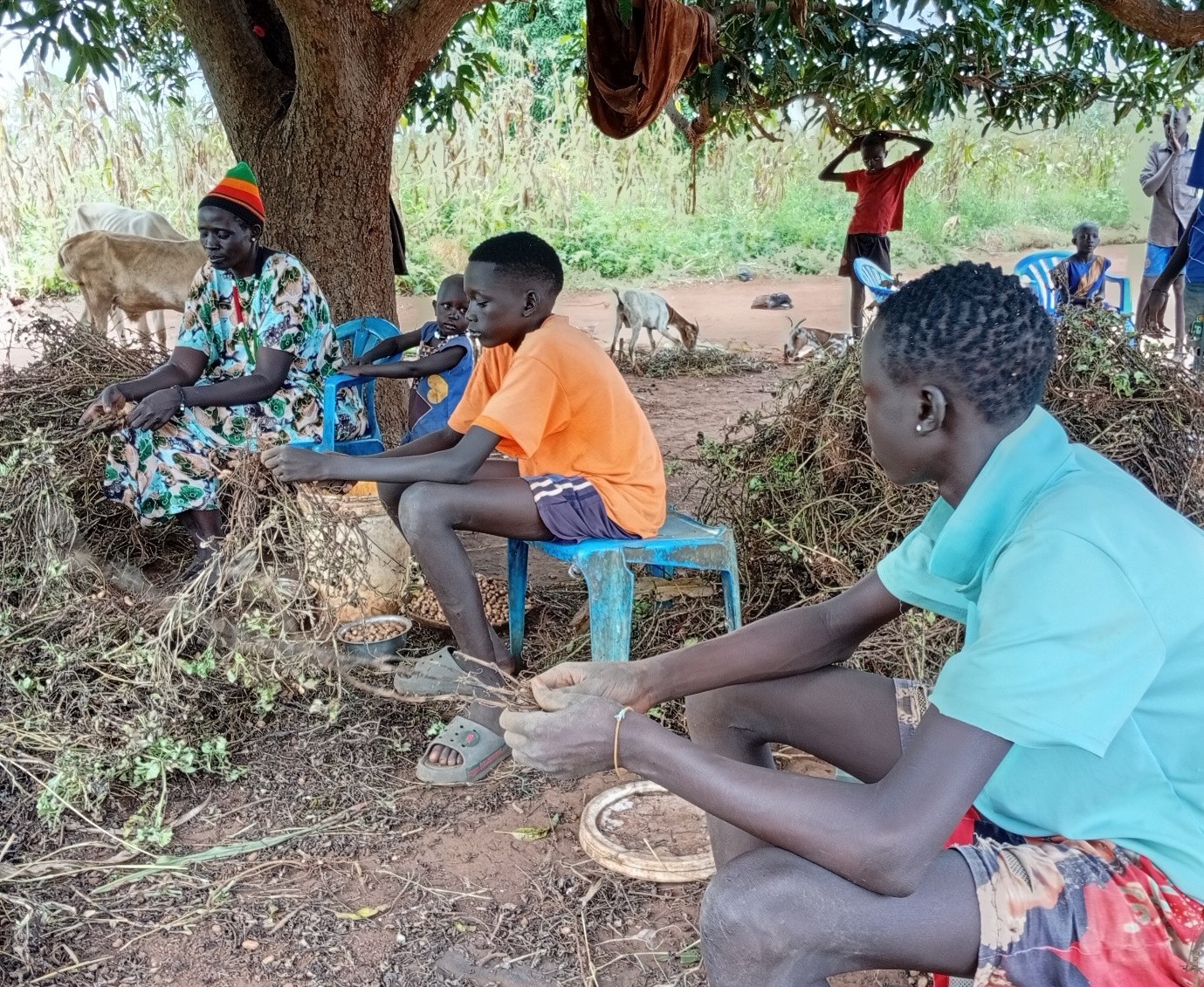 Trocaire supports families in South Sudan to recover and rebuild from ...